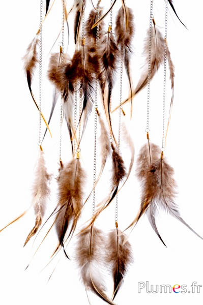 La belle histoire de la plume - Plumes.fr