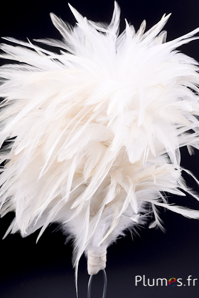 Plumes Plumets - Plumes.fr