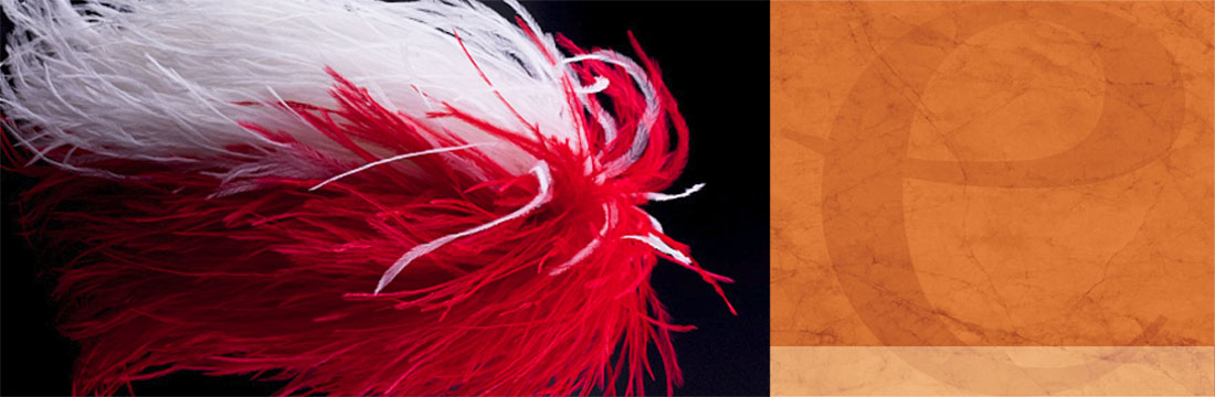 Plume.fr : vente en ligne de plumes, plume décoration, plume mariage ...