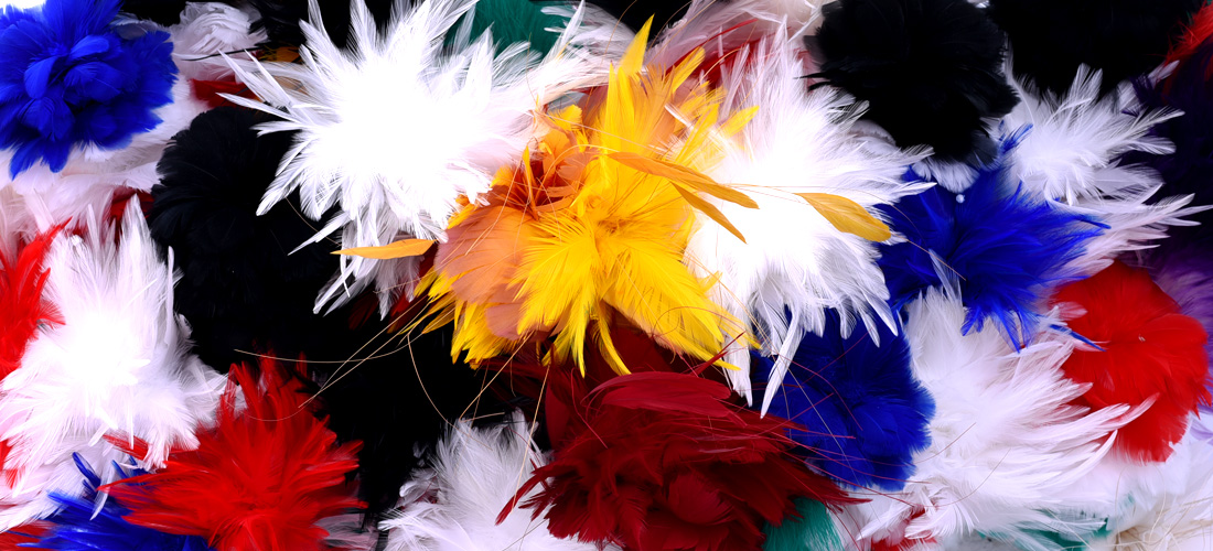 Plumes Plumets - Plumes.fr